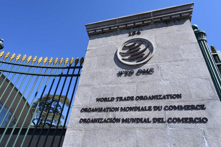 'Re-globalization' more promising than fragmentation: WTO - China.org.cn