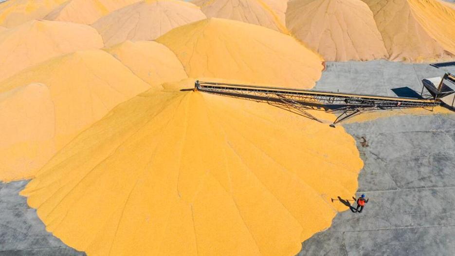 Grains in harvest season in Tongliao City, N China's Inner Mongolia ...