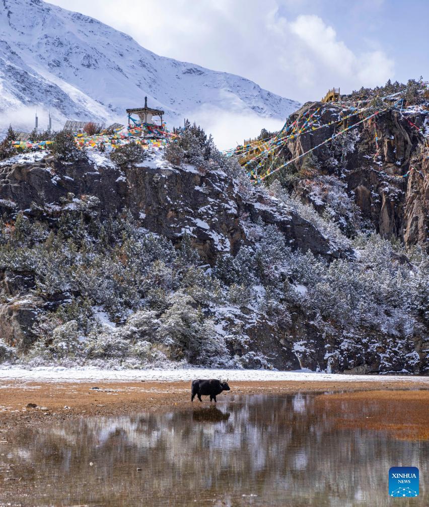 Scenery of Banbar County of Qamdo in SW China's Tibet- China.org.cn