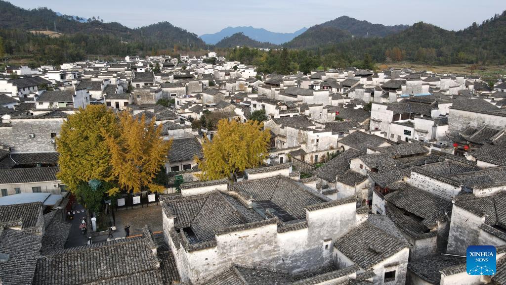 Village views in E China's Anhui- China.org.cn