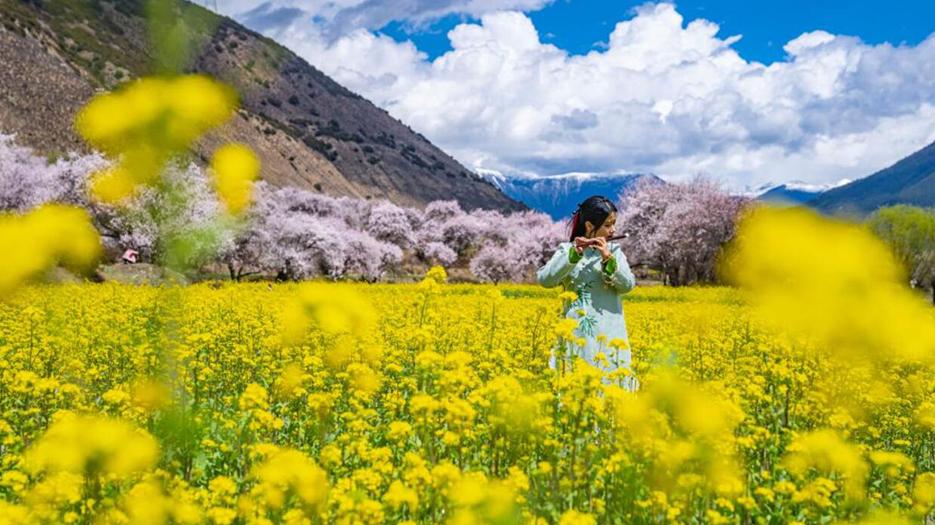 View of blooming flowers in China's Xizang- China.org.cn