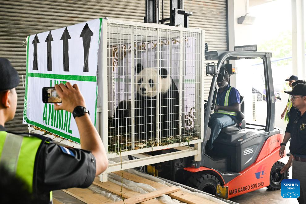 Malaysians bid tearful farewell to giant panda duo Xing Xing, Liang Liang - China.org.cn