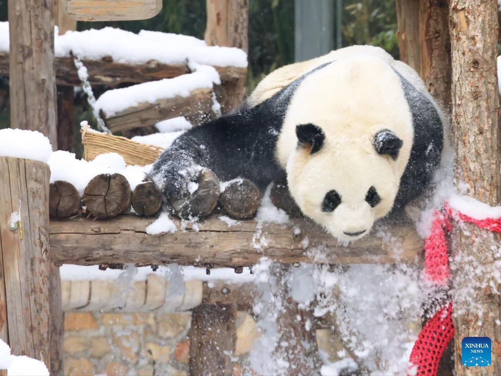 Snow scenery in Beijing - China.org.cn