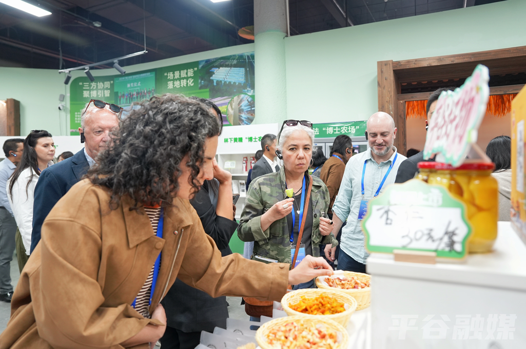 Foreign diplomats visit Pinggu to explore a different side of Beijing ...